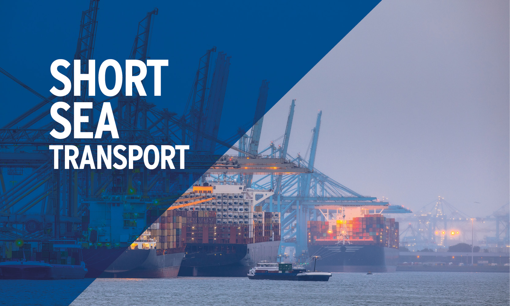 Forvision|Fritom - Your partner for all your sea and air freight